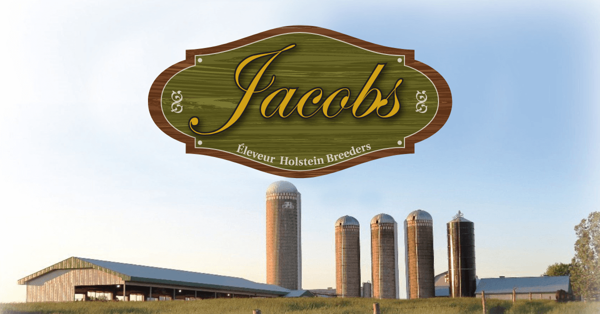 Les familles de vaches Holstein de la Ferme Jacobs